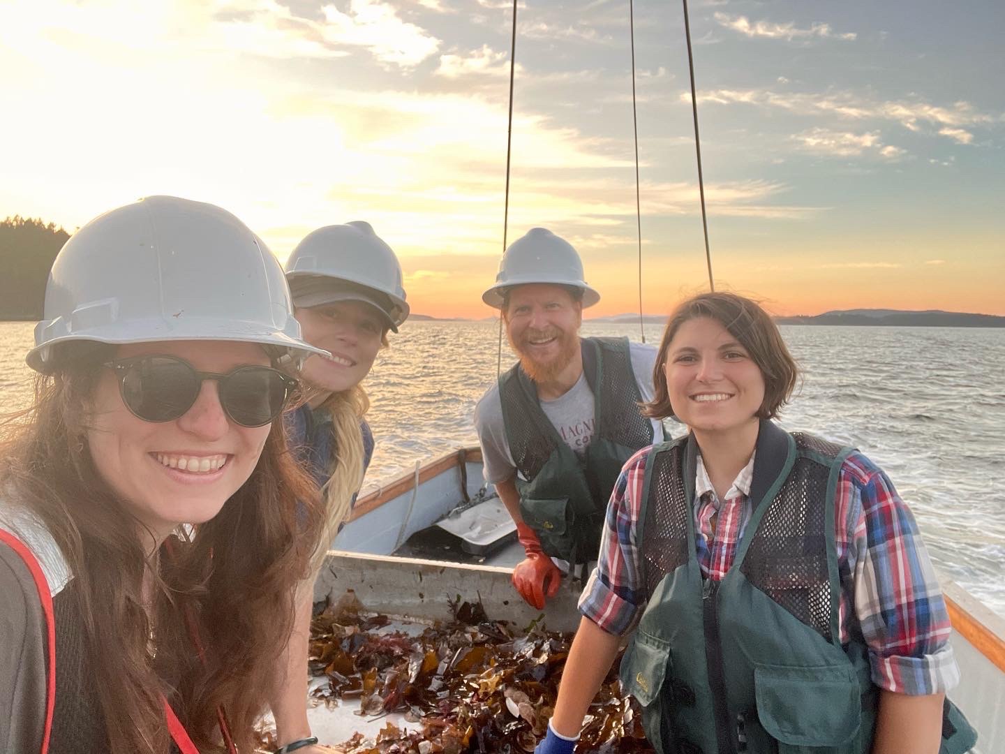 Three peculiar sea creatures could reshape human dentistry - News