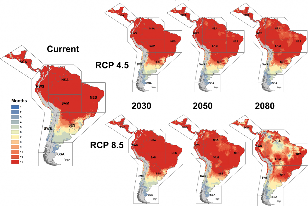 Mosquito-borne disease risk is on the move in the Americas, study finds - News